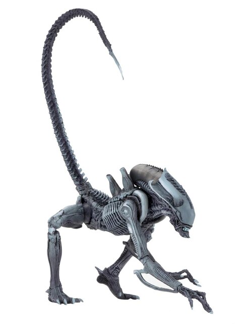 Figura Neca 7 Pulgadas Alien vs Predator Arachnoid Alien 2